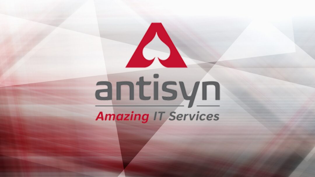 Managed Services vs. Professional Services - Antisyn